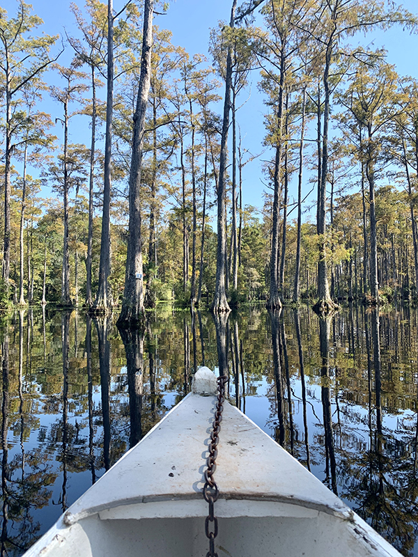 Self-Guided Tour of The Notebook Film Locations in Charleston